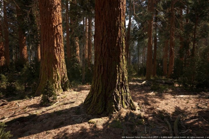 MW 红木树森林生物群落MW Redwood Trees Forest Biome – 库艺网